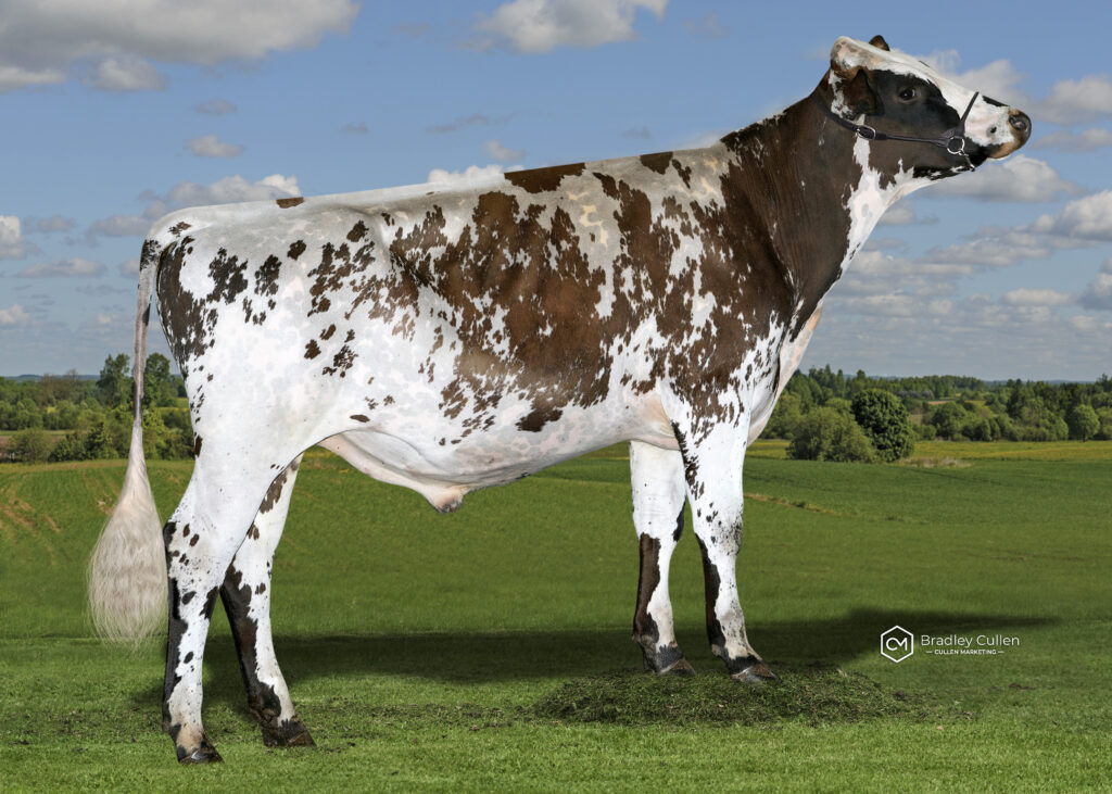 ARBNORMAN - Genetics Australia