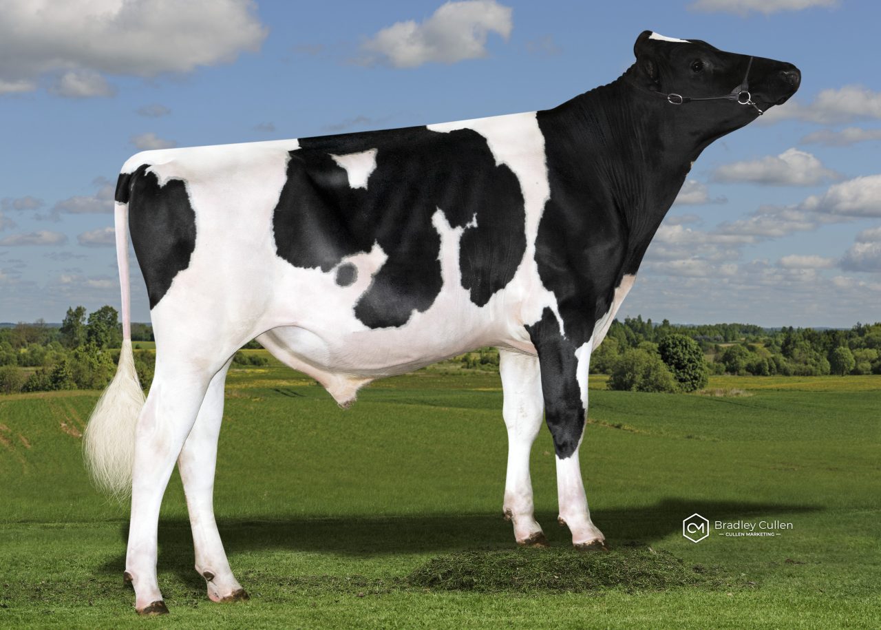 Genetics Australia - Genetics Australia