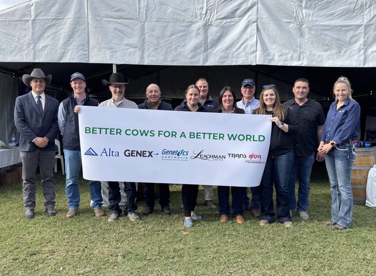 Beef on the menu - Genetics Australia