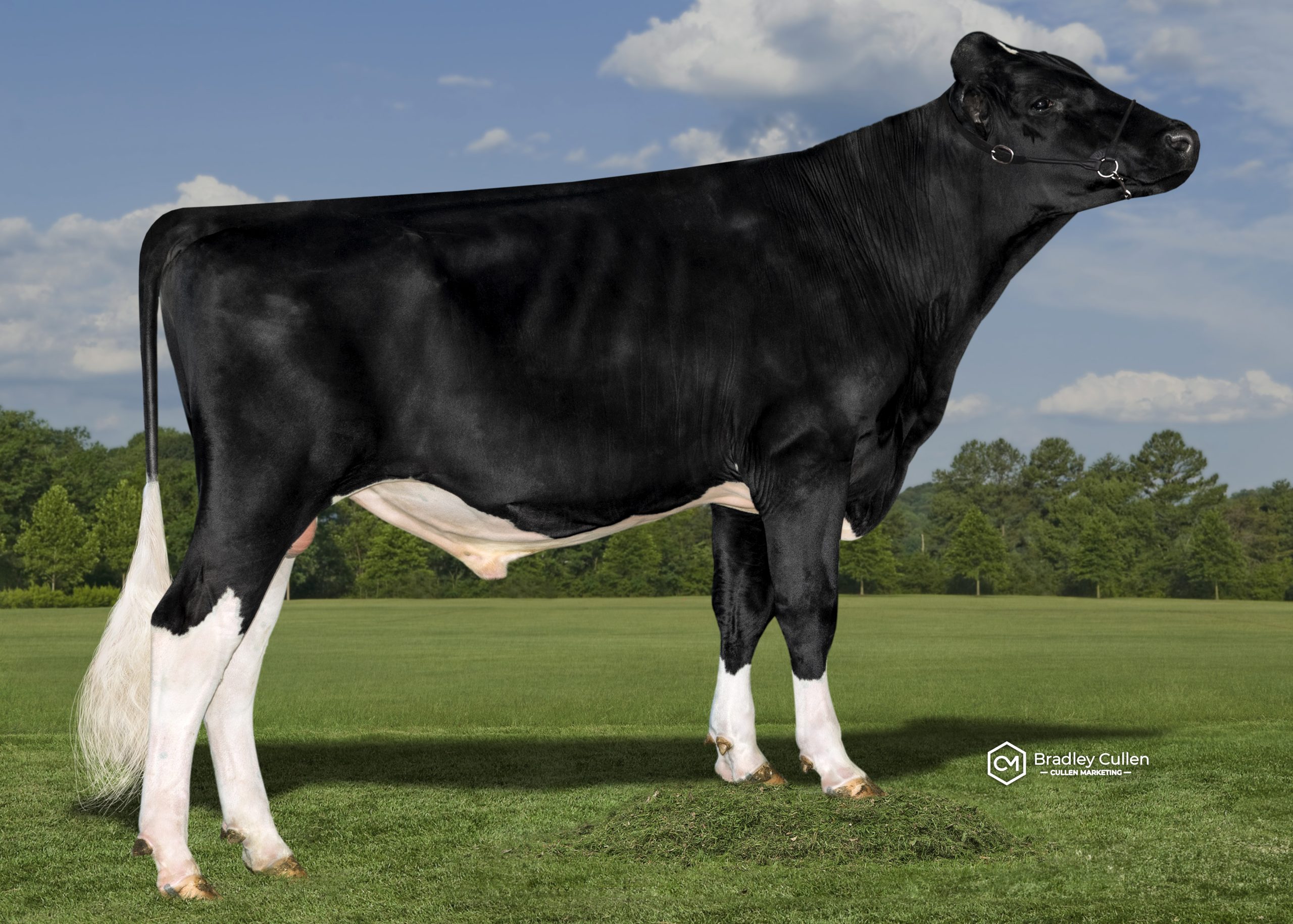 PATSY D - Genetics Australia