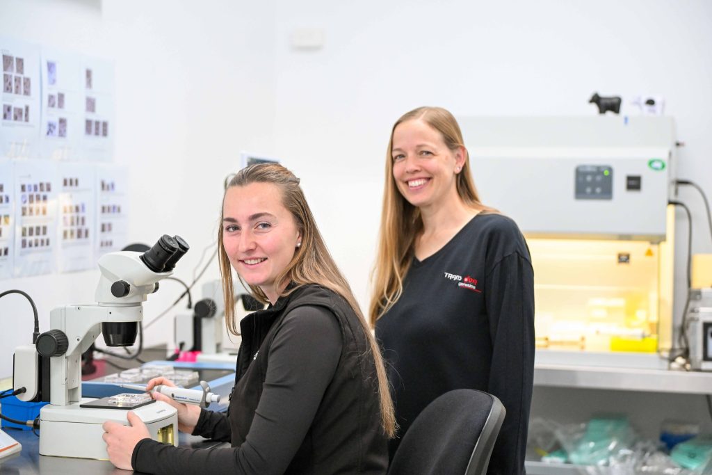 Media Release: Trans Ova Launching in Australia - Genetics Australia