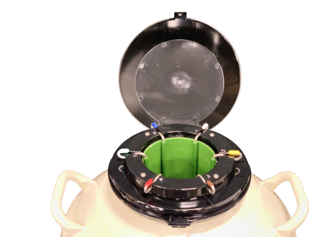 MVE XC47/11 Liquid Nitrogen Tank - Genetics Australia