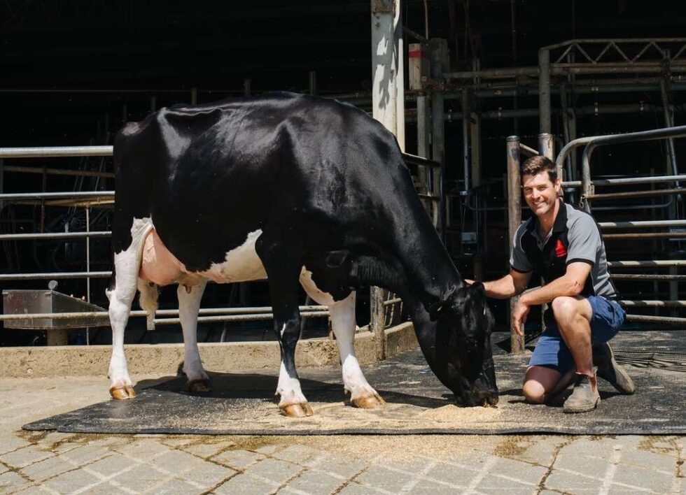 Genetics Australia - Genetics Australia